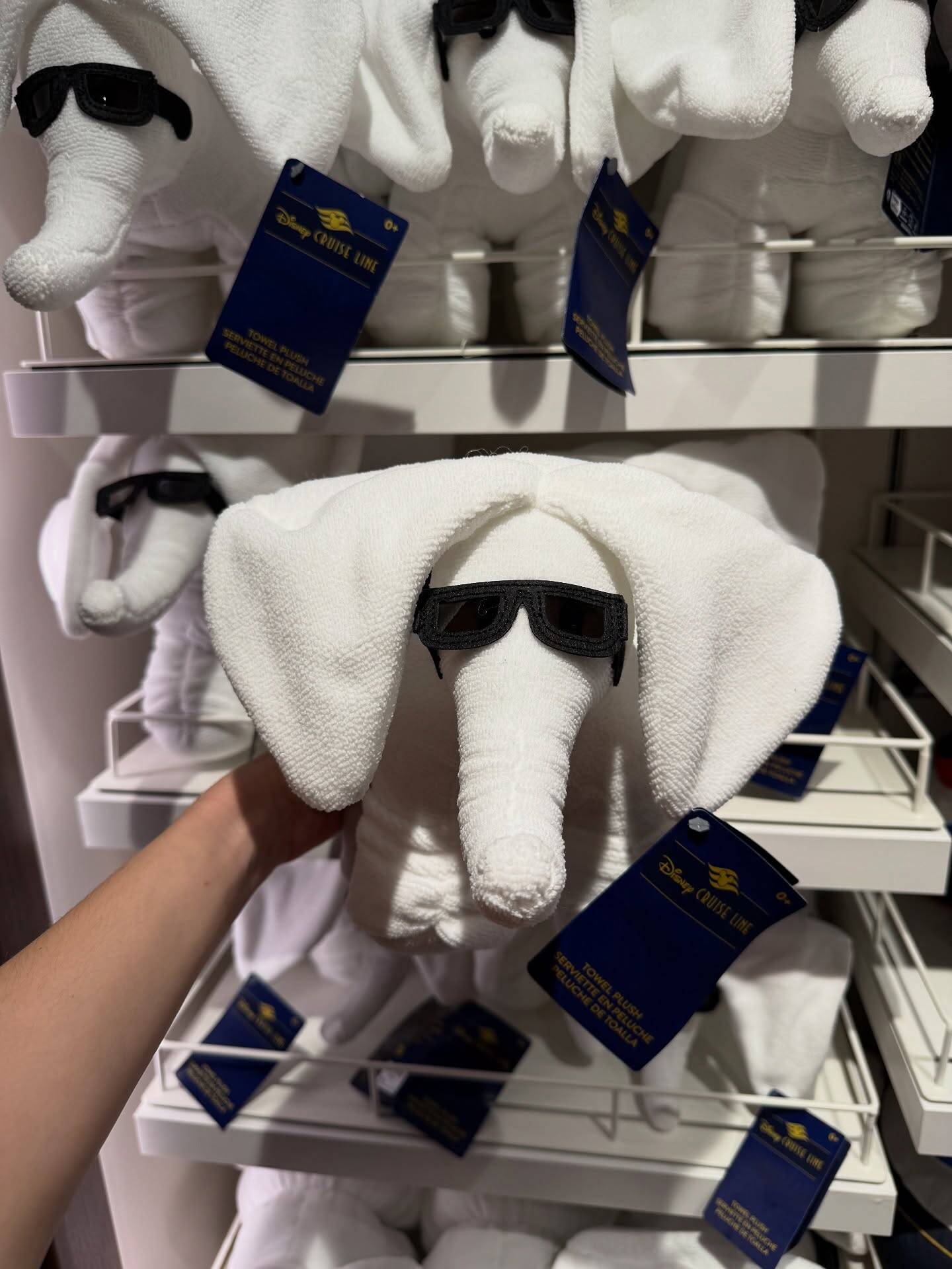 Happily Ever After Full Script & Lyrics – Magic Kingdom Fireworks